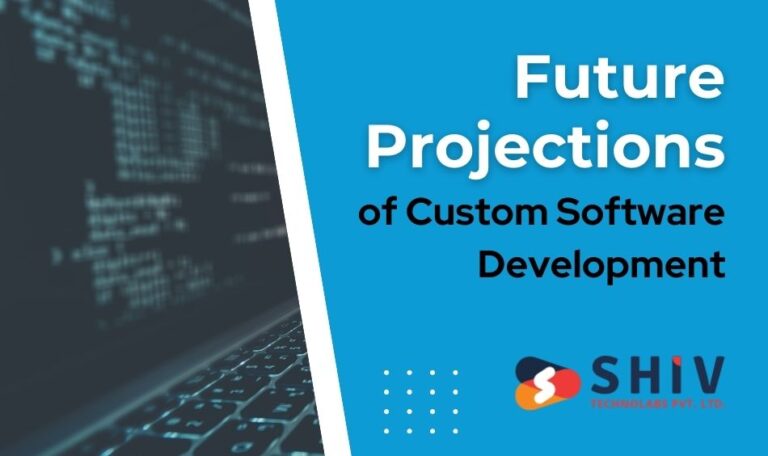 Global Custom Software Development Market Size Report