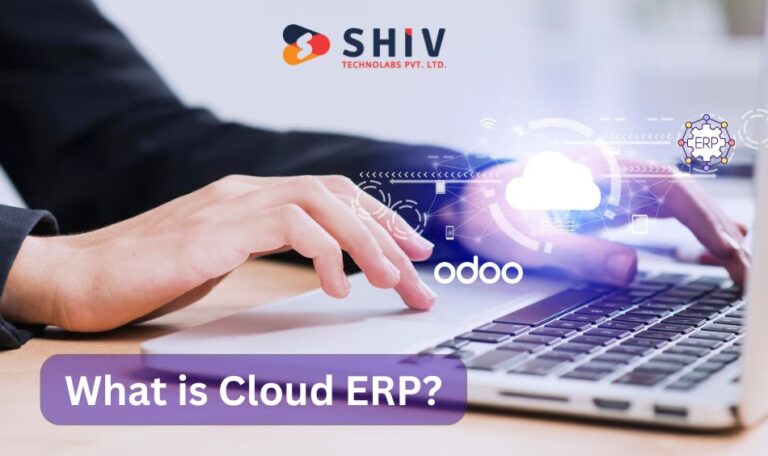 How Cloud ERP Solutions Build Data Security for Businesses