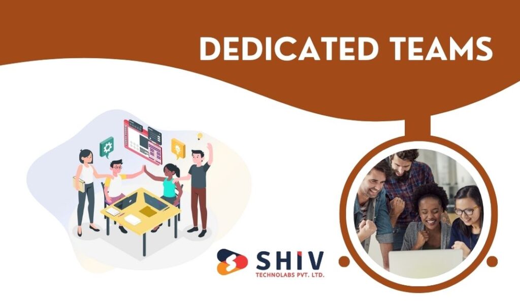 Deciding Between Dedicated and Extended Teams for Your Project