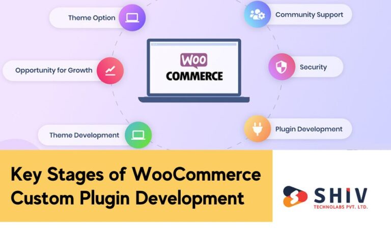 Woocommerce Custom Plugins Development And Customization An Overview 7363